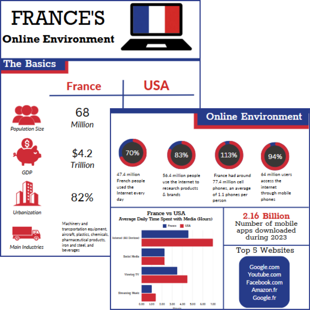 France's Online Environment Infographic - IBT Online